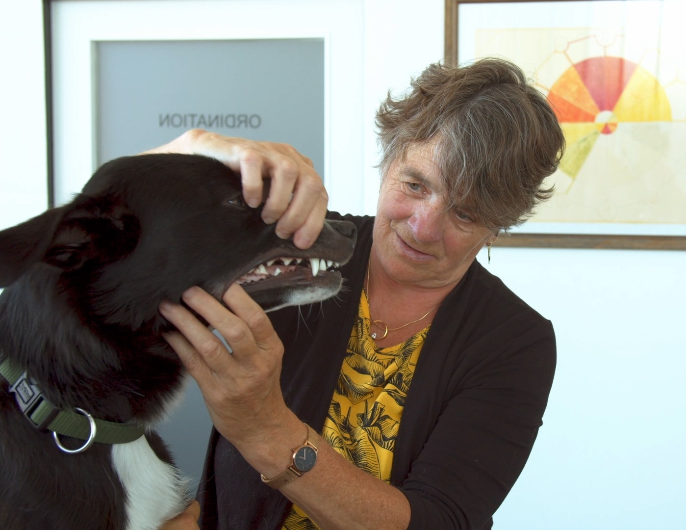 Dr. Ziegler’s Naturfutterlädchen Trockenfutter Hund